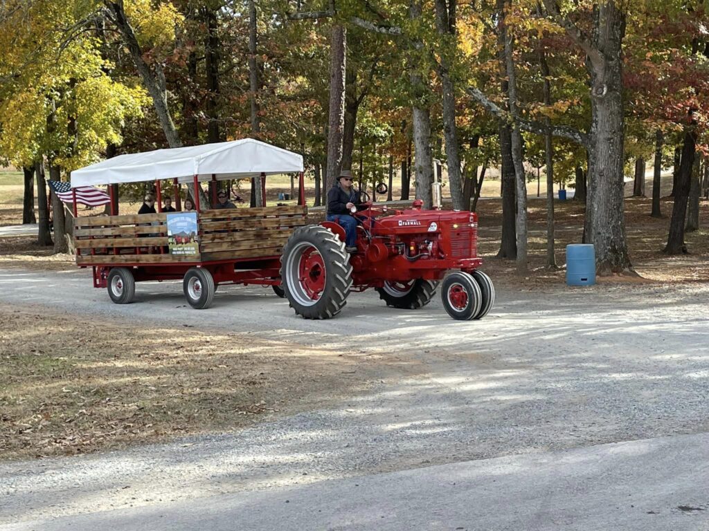 Fun on the Farm - Denton Farmpark