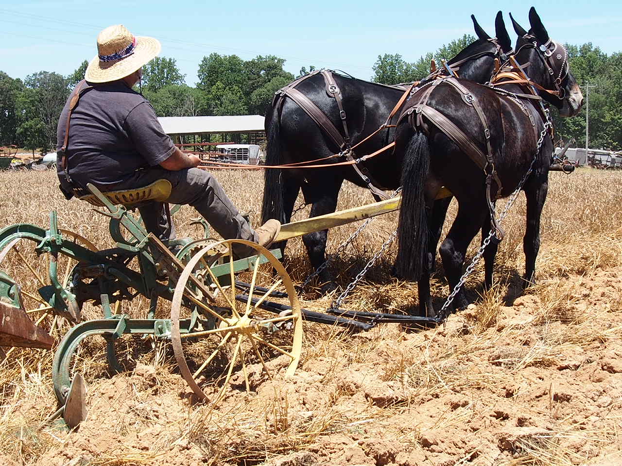 Home - Denton FarmPark