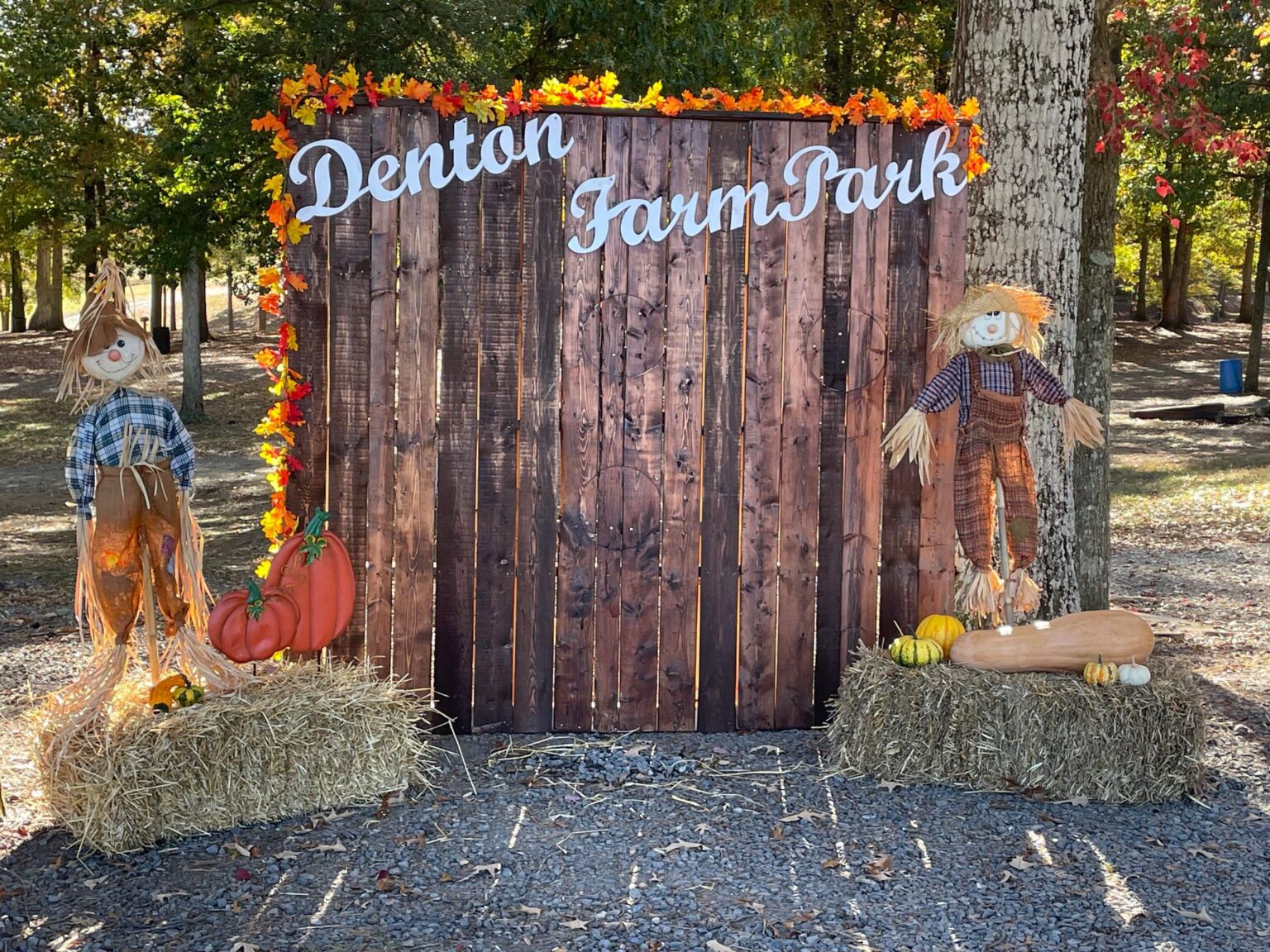 Fun on the Farm - Denton FarmPark