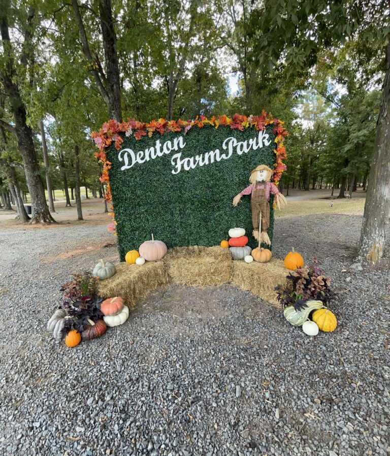 Fun on the Farm - Denton FarmPark